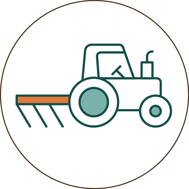 הרשמה לאדם ואדמה - Adam V'Adama